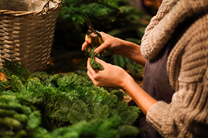 Christmas Wreath Forms - Oregon Wire