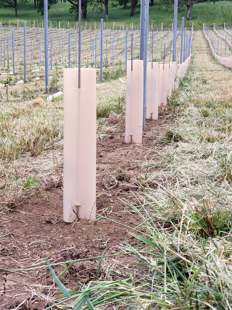 Grow Tube Plant Protectors - Oregon Wire