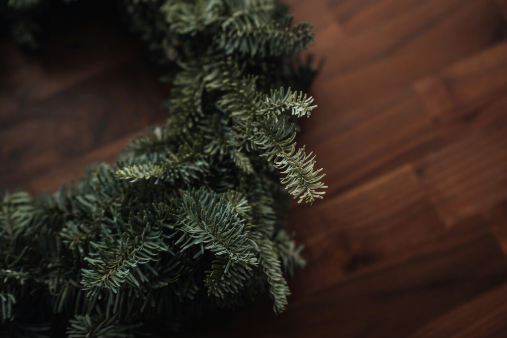 Christmas Wreath Forms - Oregon Wire